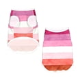 Dog Shirts Puppy Clothes Lesbian Pride Flag Sleeveless Vests Pet T ...