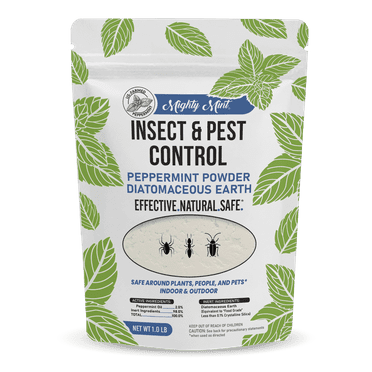 Mighty Mint Insect & Pest Control Plus, 128 oz - Walmart.com