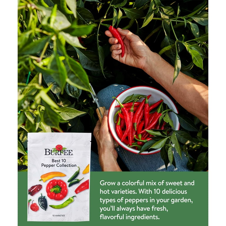 hot pepper seeds to plant walmart