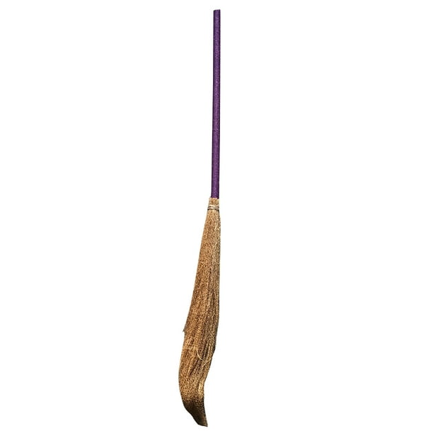 Broom Costume