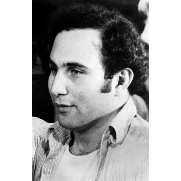 David Berkowitz History (18 x 24) - Walmart.com - Walmart.com