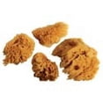 Royal & Langnickel(R) Natural Ocean Artist Sponges 4/Pkg-3 Wool & 1 ...