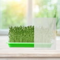 4 Pcs Stainless Steel Grow Mats for Microgreens,Seed Sprouting Tray ...