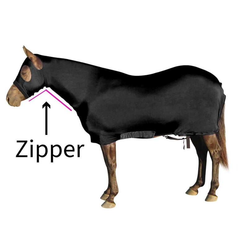 Horse Lycra Sheet Derby Originals Lycra Full Body Horse Sheet With Neck ...