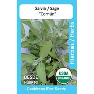 Dove Proso Millet Seed - 1 Lb. - Walmart.com