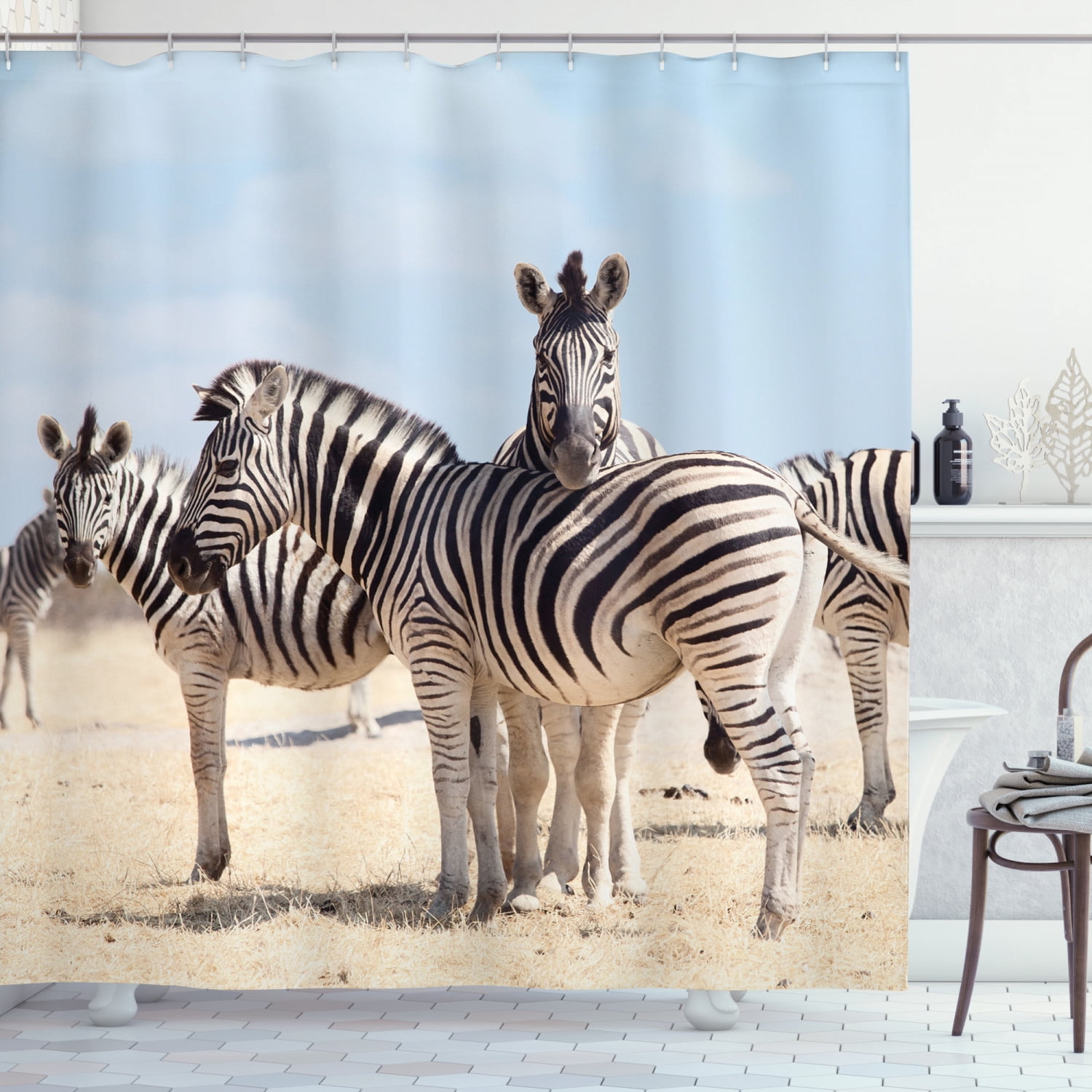 Ambesonne Zebra Shower Curtain, Namibia Africa Animals View, 69"Wx84"L ...