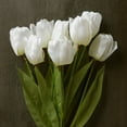 Large, Fresh White Tulip Flower Bush by Ashland¬Æ for Indoor Use ...