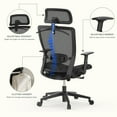 FlexiSpot High Capacity Ergonomic Mesh Office Chair with Comfortable ...