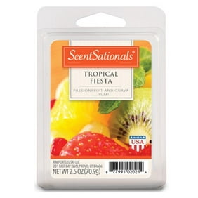 Warm Rustic Woods Scented Wax Melts, Better Homes & Gardens, 2.5 oz (4 ...