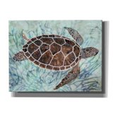 Epic Graffiti 'Sea Turtle Collage 1' by Stellar Design Studio, Canvas ...