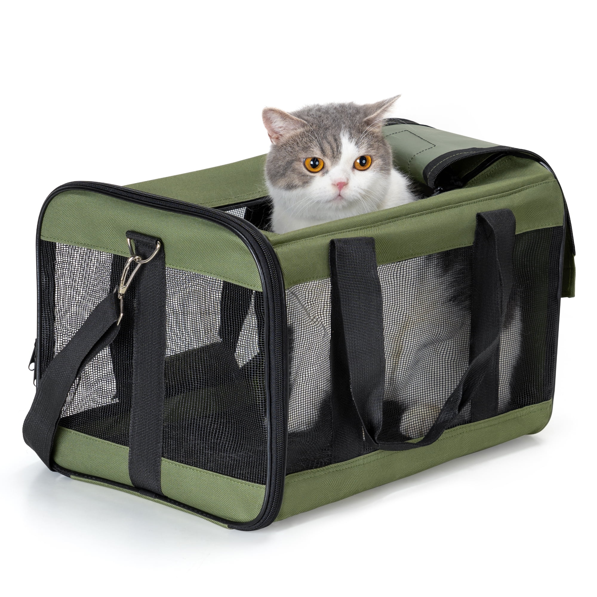 Conlun Collapsible Cat Carrier - Airline Approved,Soft-Sided, W/Safety ...