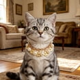 Faux Pearl Dog Collar Adjustable Pet Necklace, Stylish Design Secure ...
