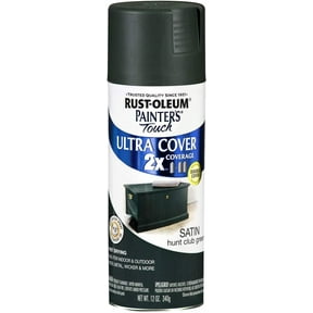 Painter's Touch, 2X 12 Oz Moss Green Spray Paint Satin, Set of 6 ...