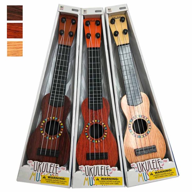Beginner Concertina