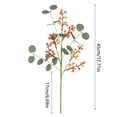 Berry In A Style Are Suitable for Weddings Parties and Home/ Décor ...