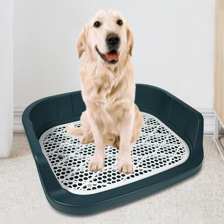 Best Puppy Litter Box at George Hodge blog