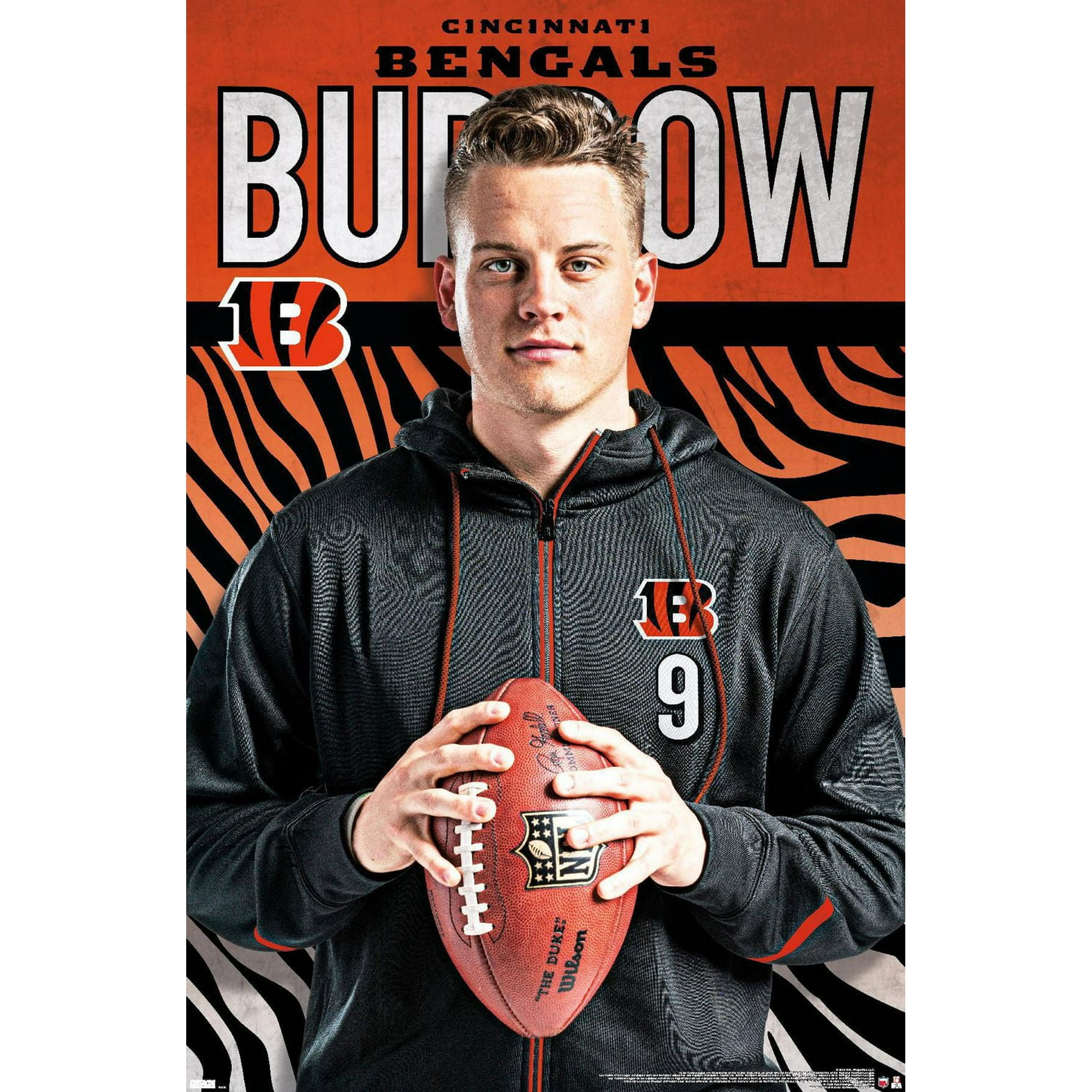 Click here for Trends International Nfl Cincinnati Bengals - Joe... prices