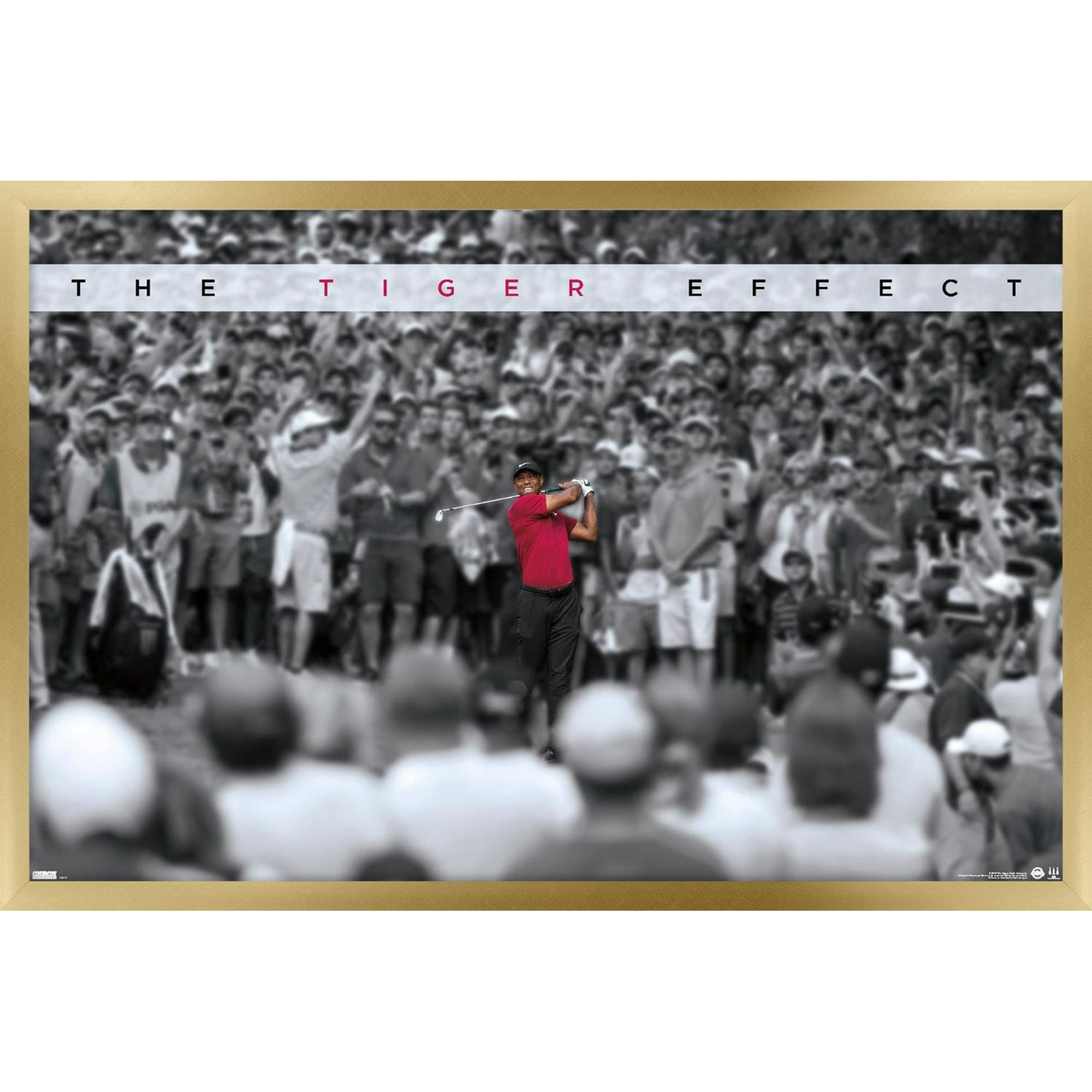 Click here for Trends International Tiger Woods - The Tiger Effec... prices