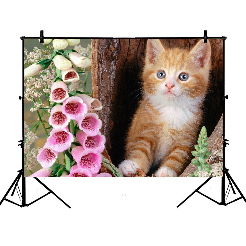 ZKGK 7x5ft Animals Kitten Cat Polyester Photography Backdrop For Studio ...