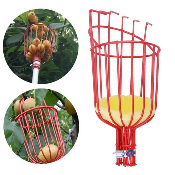 Stainless Steel Fruit Picker Picking Equipment Attachment Head for ...