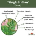 Burpee Organic Plain or Single Italian Parsley Herb Seed, 1-Pack,Full ...