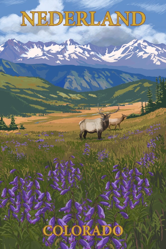 Nederland, Colorado, Elk and Mountains (24x36 Giclee Gallery Art Print ...