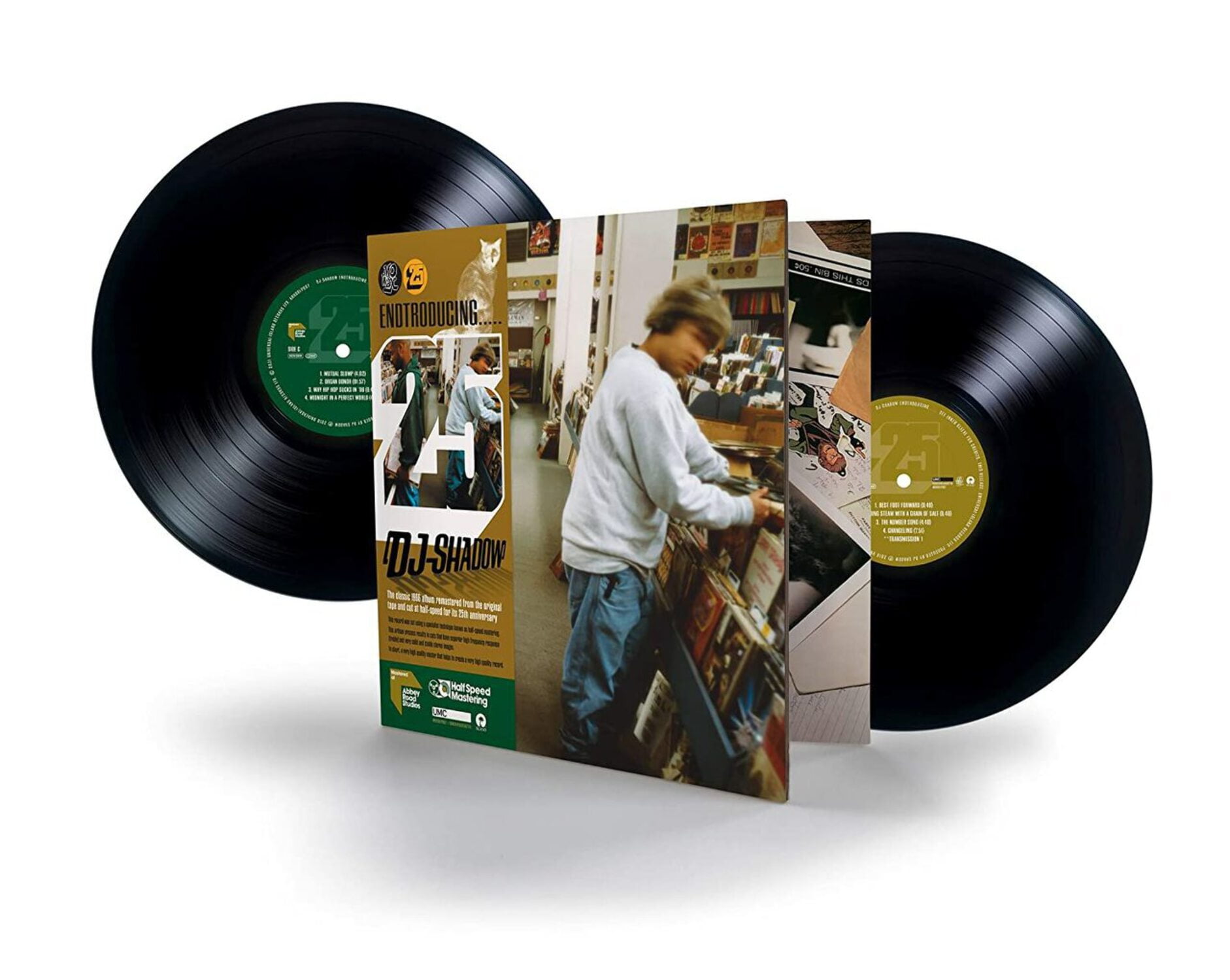 Endtroducing Vinyl