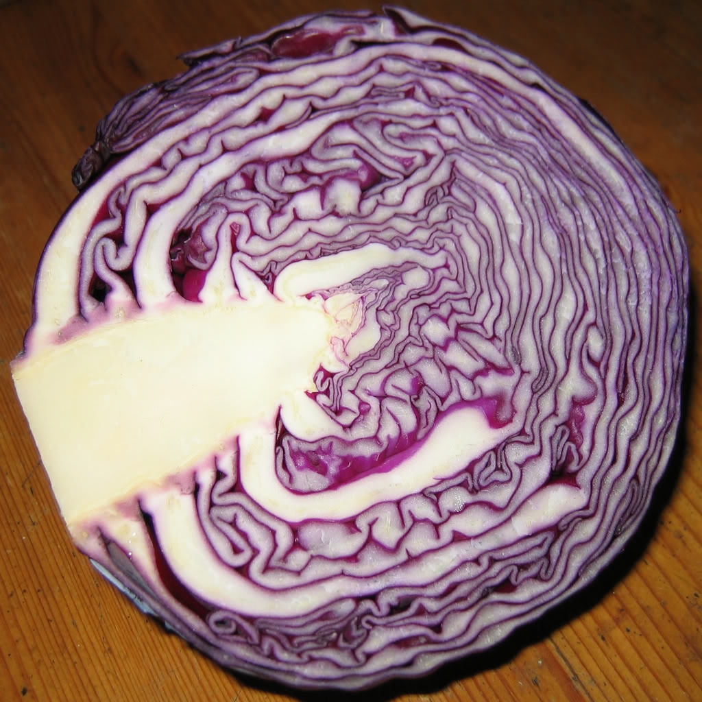 Click here for Seedville Usa 500 Red Acre Cabbage Brassica Olerac... prices