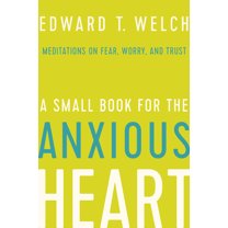 Running Scared: Fear, Worry, and the God of Rest, (Paperback) - Walmart.com