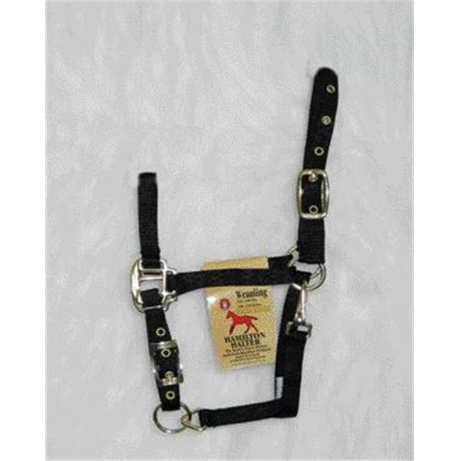 Hamilton Halter Company - Adjustable Chin Halter With Snap- Black ...