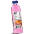 Rani Pink Cure Salt (Special Salt for Curing Meats) 12oz (340g) PET Jar ...