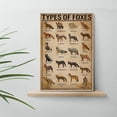 Educational Types of Foxes Species Knowledge Chart Poster 12x18 ...