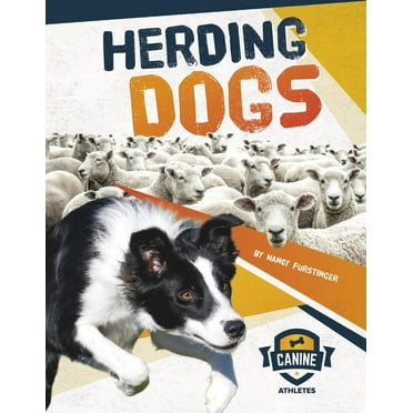 Step into Reading: Power up, Pups! (PAW Patrol: The Mighty Movie ...