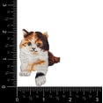 Calico Kitty Cat, Kitten, Pets, Embroidered, Iron-on Patch - Walmart.com