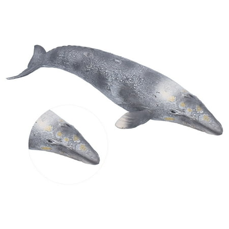 Ocean Animals, Whale Figure Grey Whales Model Sea Animal Figures Marine ...