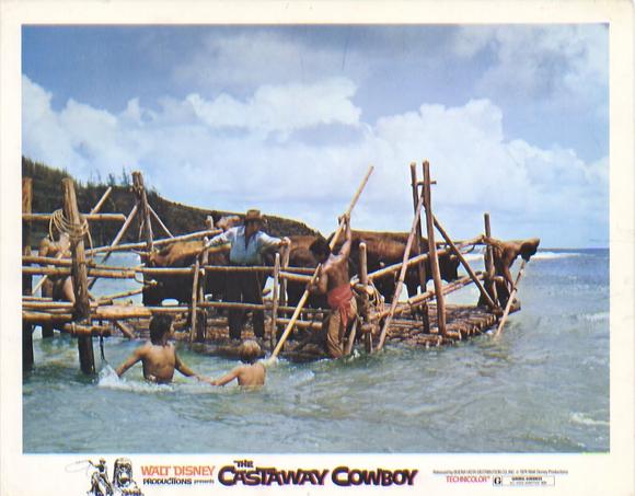 The Castaway Cowboy - movie POSTER (Style C) (11" x 14") (1974 ...