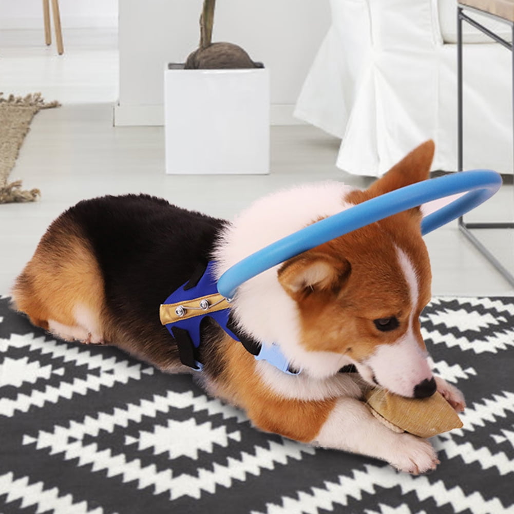 Click here for Ccdes Blind Dogs Anti-Collision Ring  Lightweight... prices