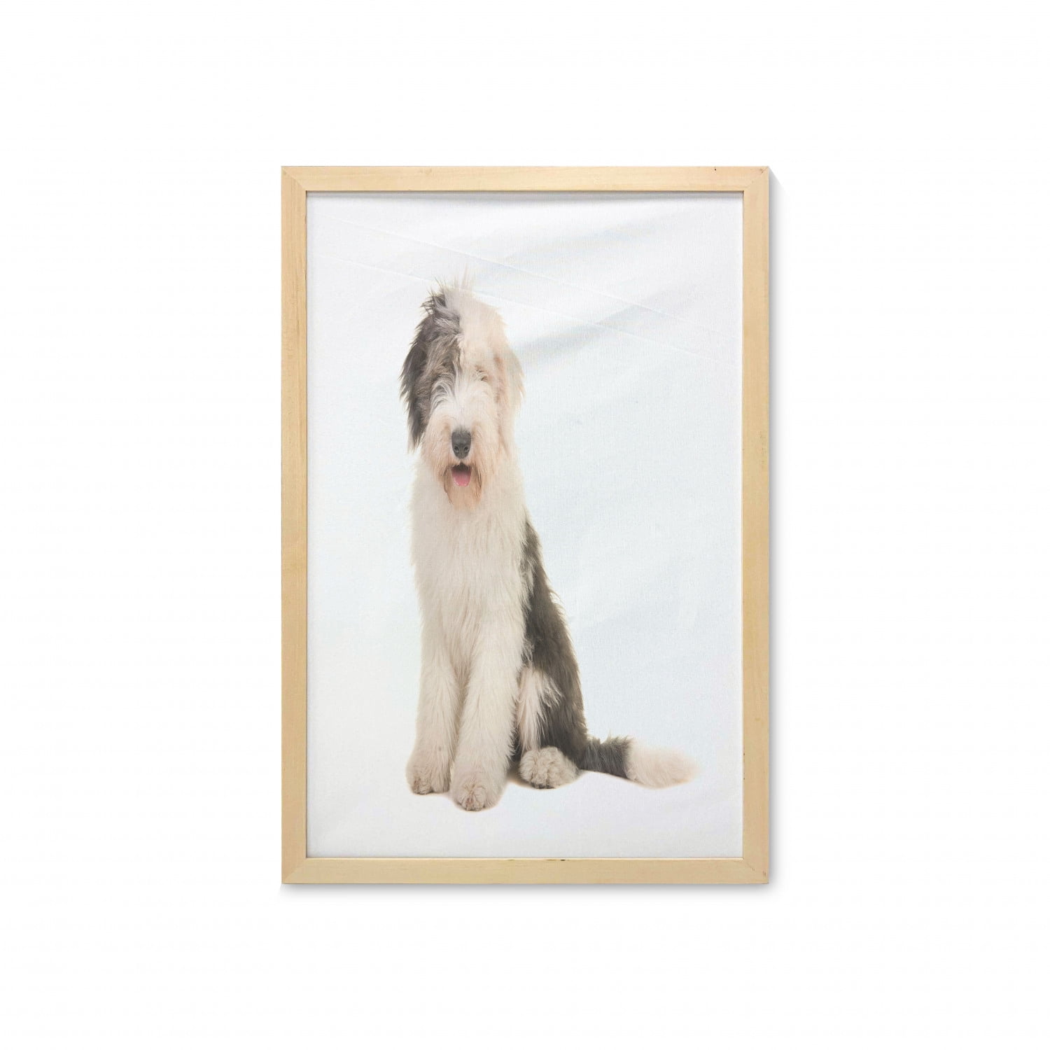 English Sheepdog Wall Art with Frame, Isolated Sitting Bobtail Picture ...