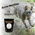 Rogue Pet Science | Origins 5 in 1 Dog Supplement Multivitamin - 1/2LB ...