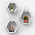 3-Pack/6-Pack Hexagonal Wall Shelves, Decorative Storage Racks for ...