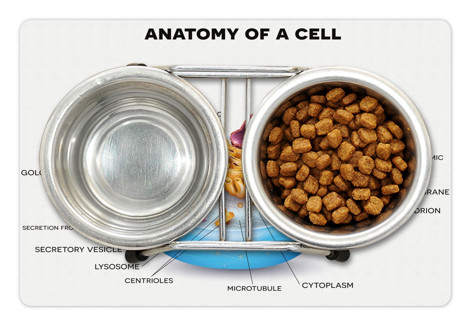Educational Pet Mat for Food and Water, Cell Anatomy Microscopic ...