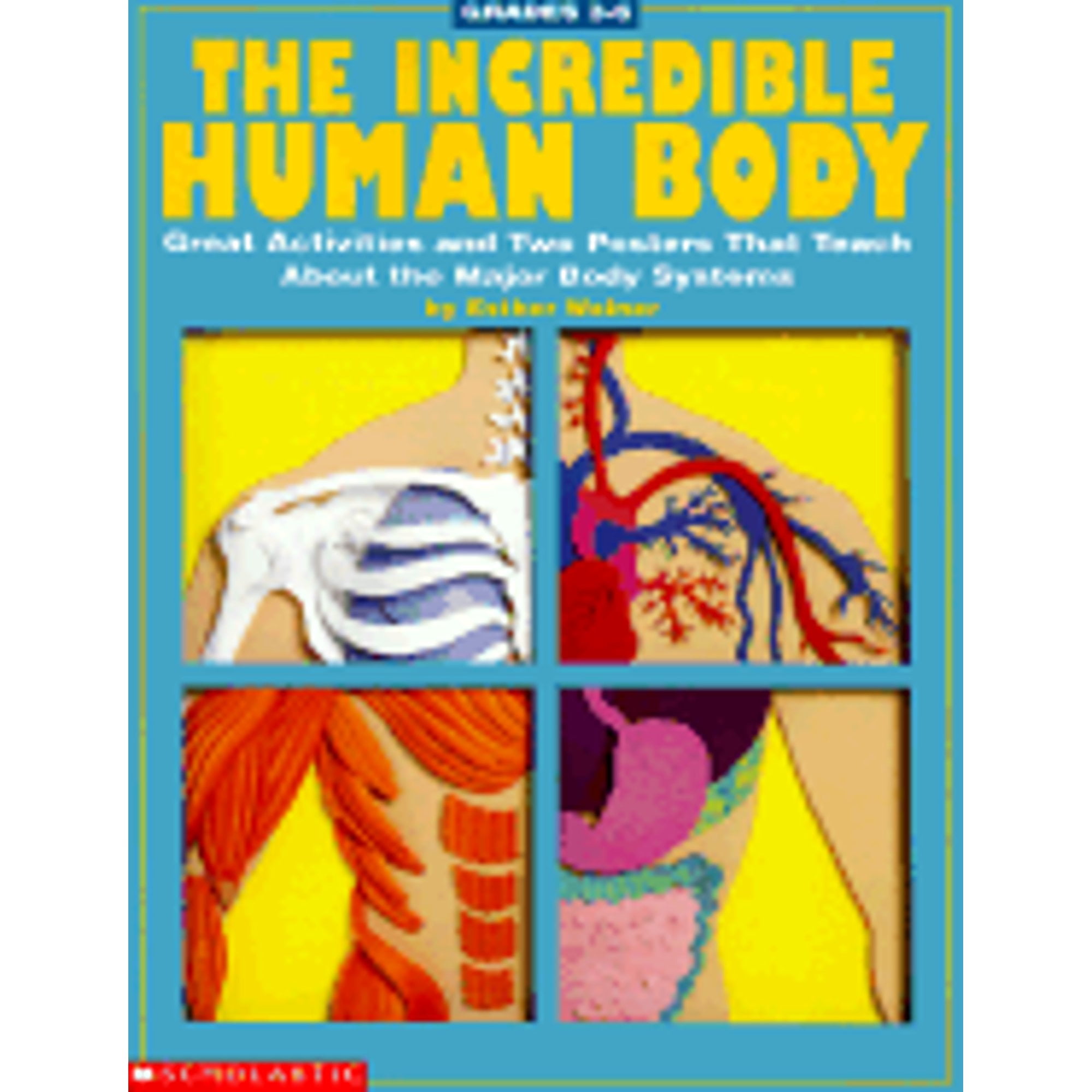 Incredible Human Body The Incredible Human Body Great Activities And incredible-human-body-the-incredible-human-body-great-activities-and