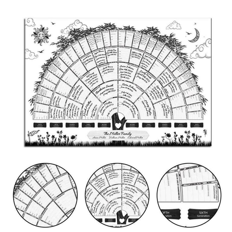 Genealogy Fan Chart Template