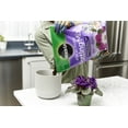 Miracle-Gro African Violet Potting Mix, 8 qt., Feeds for 6 Months ...