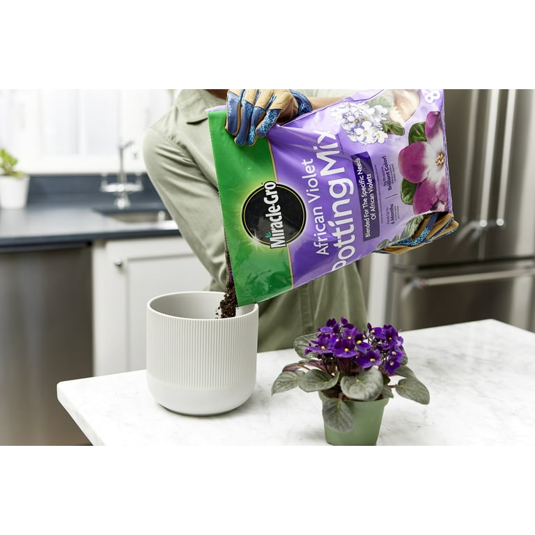 Miracle Gro African Violet | ppgbbe.intranet.biologia.ufrj.br