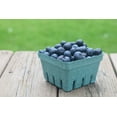 Pint Green Molded Pulp Fiber Berry / Produce Basket - 40 Pieces ...