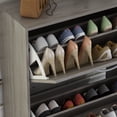 OXYLIFE Free Standing Shoe Storage Cabinet with 2 Flip Drawers for ...