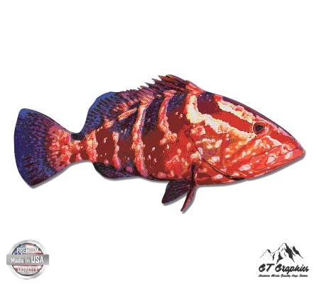 Grouper - 5" Vinyl Sticker - For Car Laptop I-Pad - Waterproof Decal ...