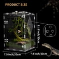 Petyoung 11.8*7.9*7.9" Acrylic Reptile Terrarium, for Jumping Spiders ...