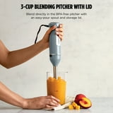 Ninja Immersion Blender and Whisk, Hand Stick Blender, 3 Speeds, with ...